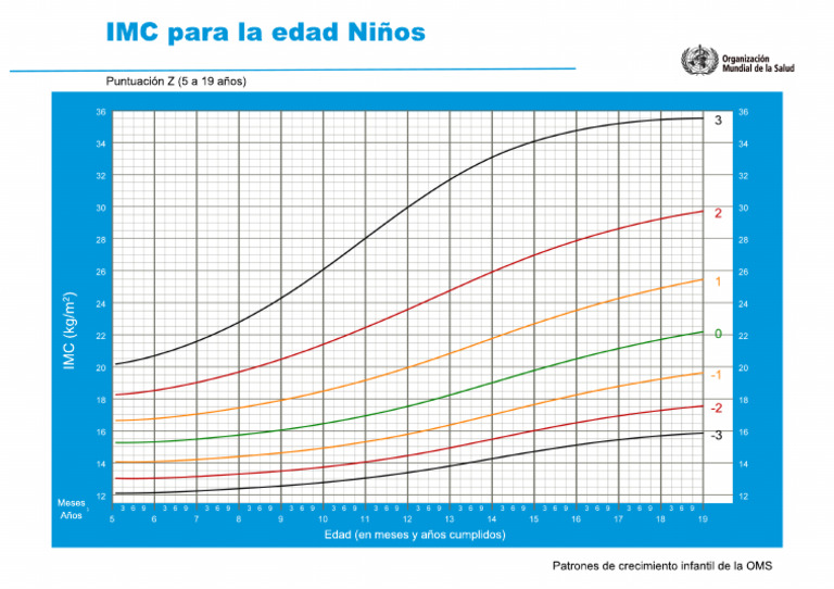 Imc Niños | PDF