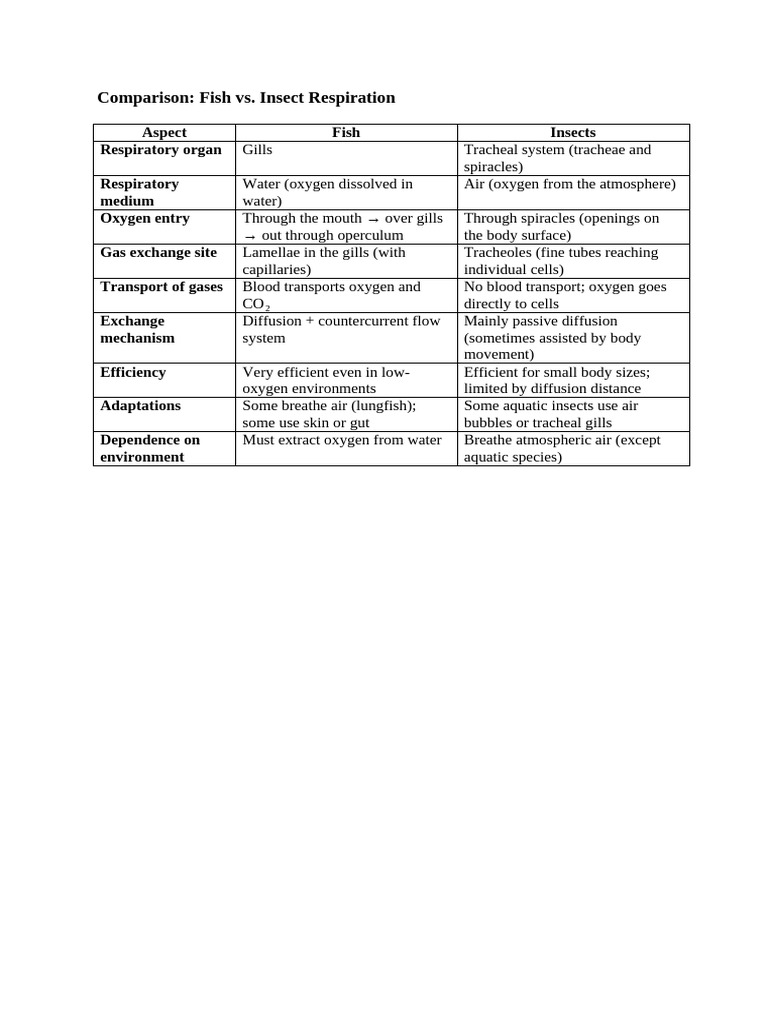 Insect vs. Fish Respiration Explained | PDF