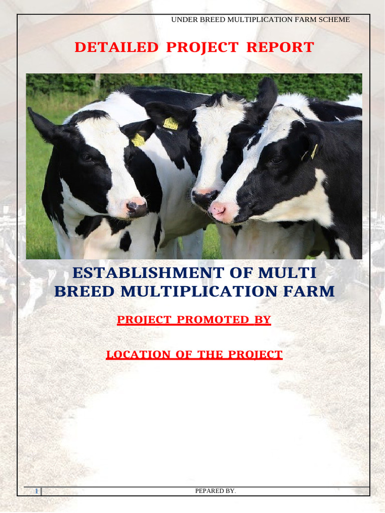 DPR BMF | PDF | Dairy Farming | Cattle