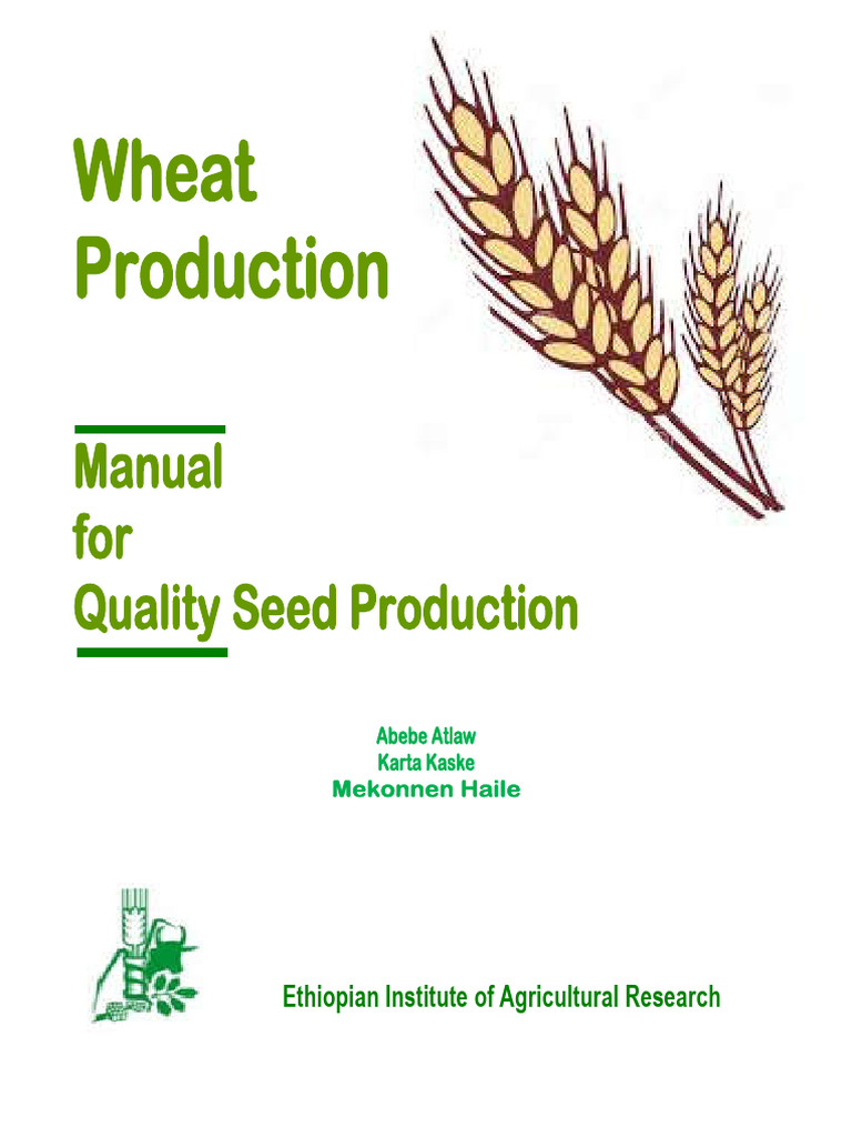 Wheat Seed Production Manual Ethiopia | PDF | Wheat | Sowing