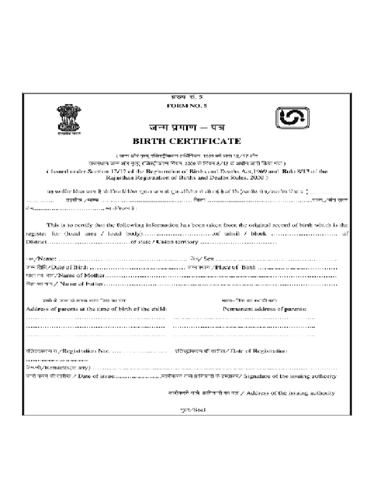 Online Apply Birth Certificate | PDF