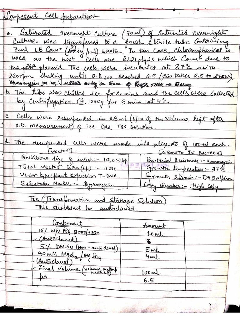 Competent Cell and Transformation Protocol | PDF
