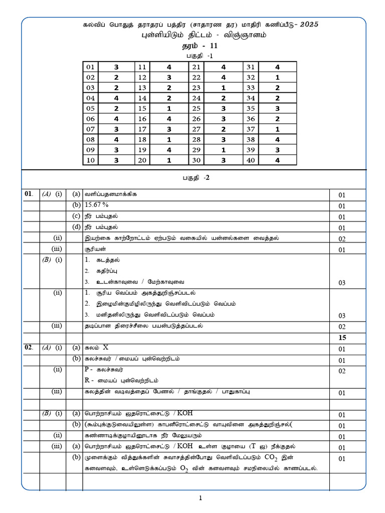 Provincila First Term 2025 Key Tamil C | PDF