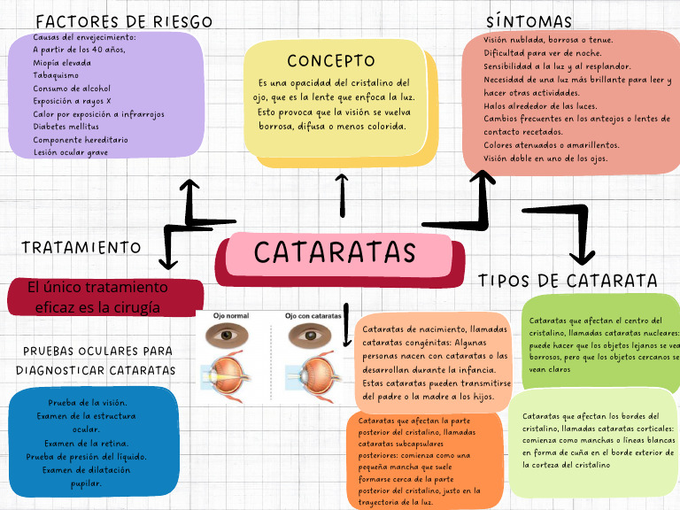 Mapa Conceptual Doodle A Mano Multicolor - 20250324 - 134359 - 0000 | PDF | Catarata | Ojo humano