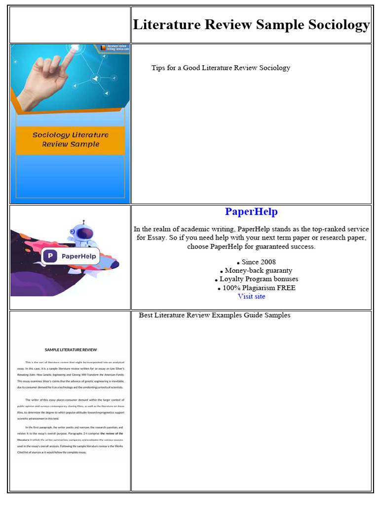 Sociology Literature Review Example | PDF | Motivation | Motivational