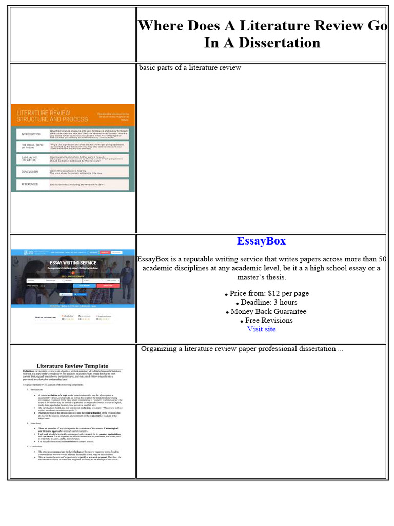 Placement of Literature Review in Dissertations | PDF | Hypothesis | Thesis