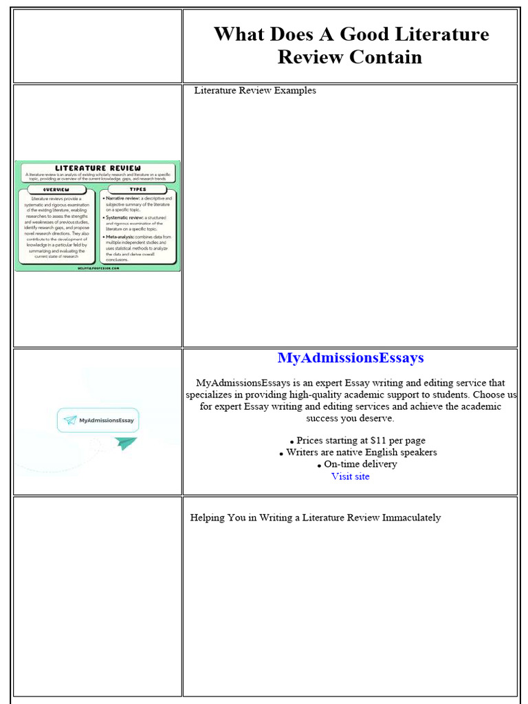 Essential Components of a Literature Review | PDF | Diabetes | Internal ...