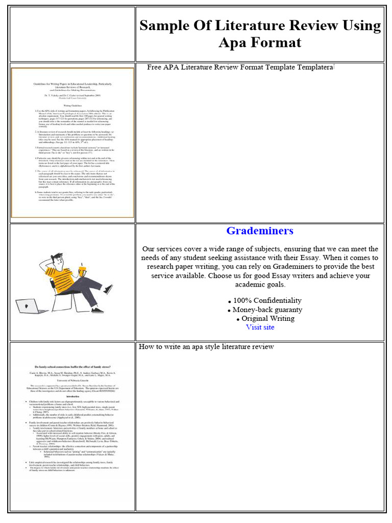 APA Literature Review Guide | PDF | Cloud Computing | Essays