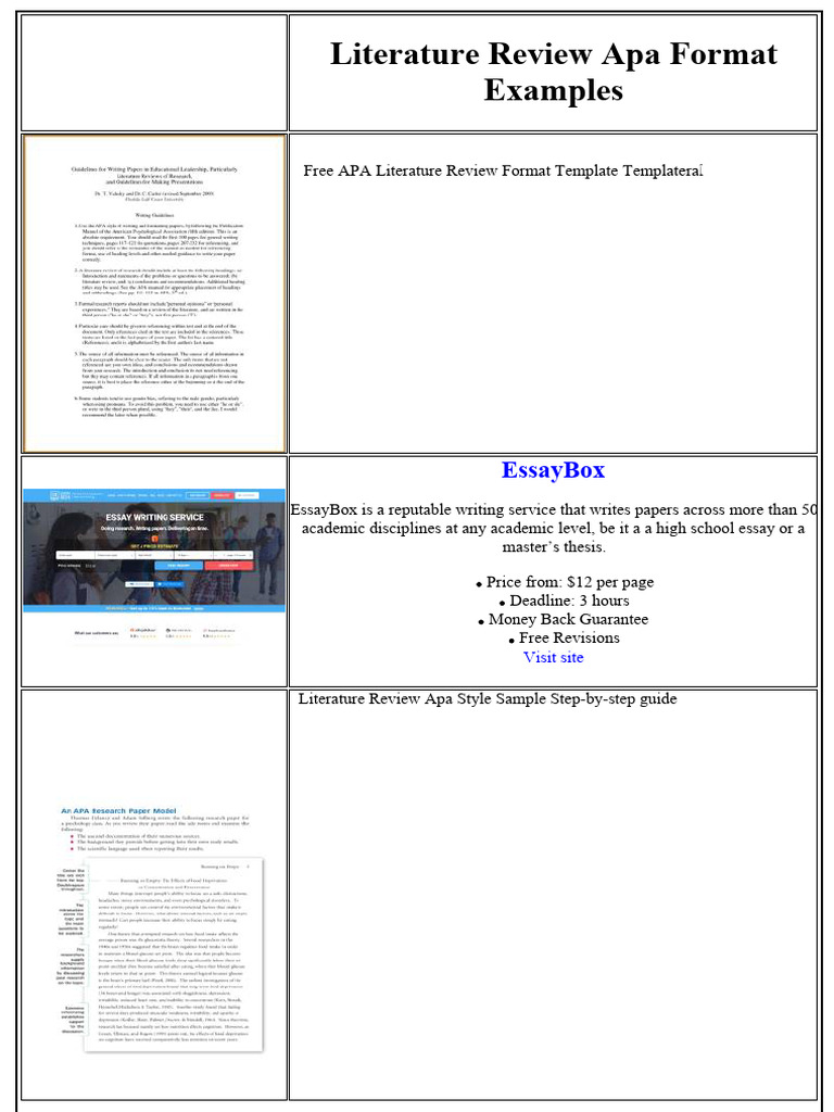 Literature Review Apa Format Examples | PDF | Thesis | Essays