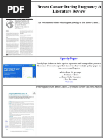 Literature Review Template Ieee | PDF | Systematic Review | Essays