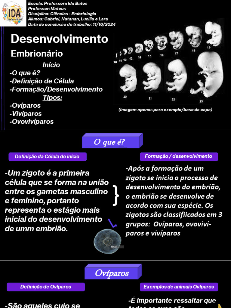 Desenvolvimento do Zigoto e Embrião | PDF | Ovo | Zoologia