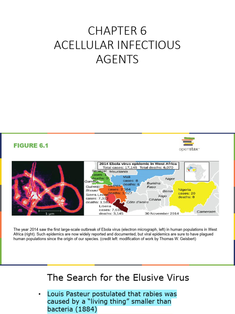 Overview of Acellular Infectious Agents | PDF | Virus | Rna
