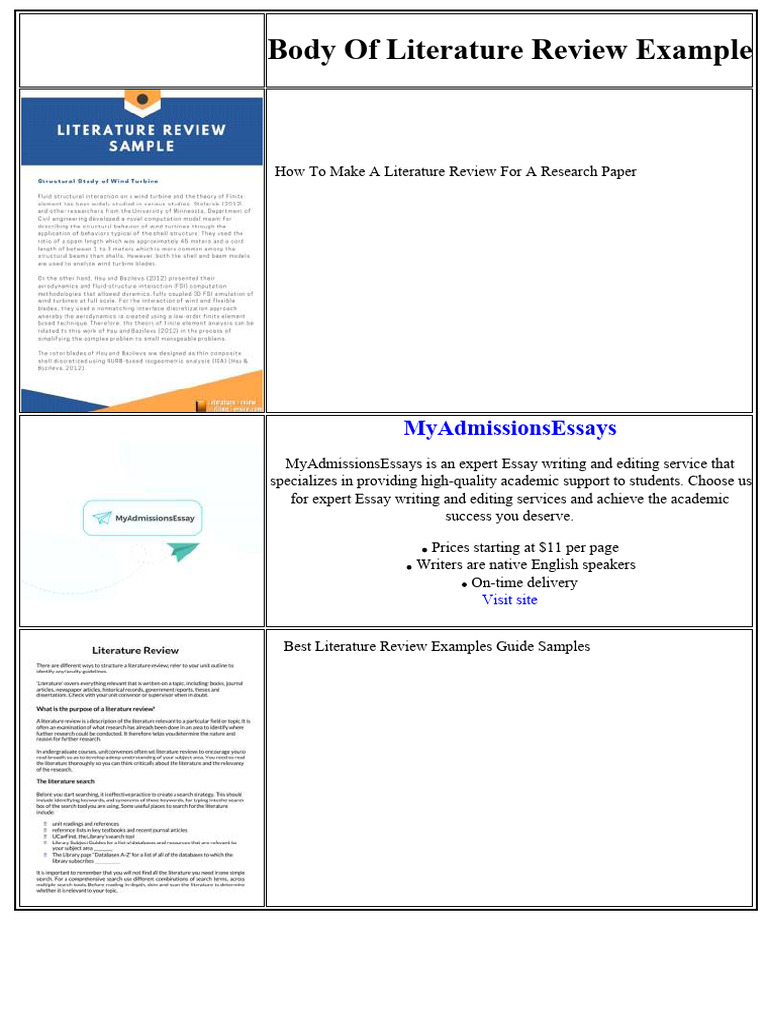 Body of Literature Review Example | PDF | Thesis | Essays