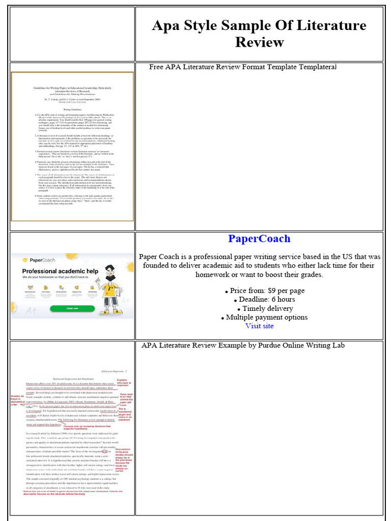 Apa Style Sample of Literature Review | PDF | Birth Control