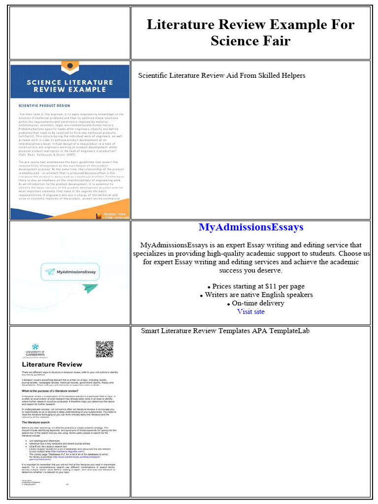 Literature Review Example For Science Fair | PDF | Computer Security ...