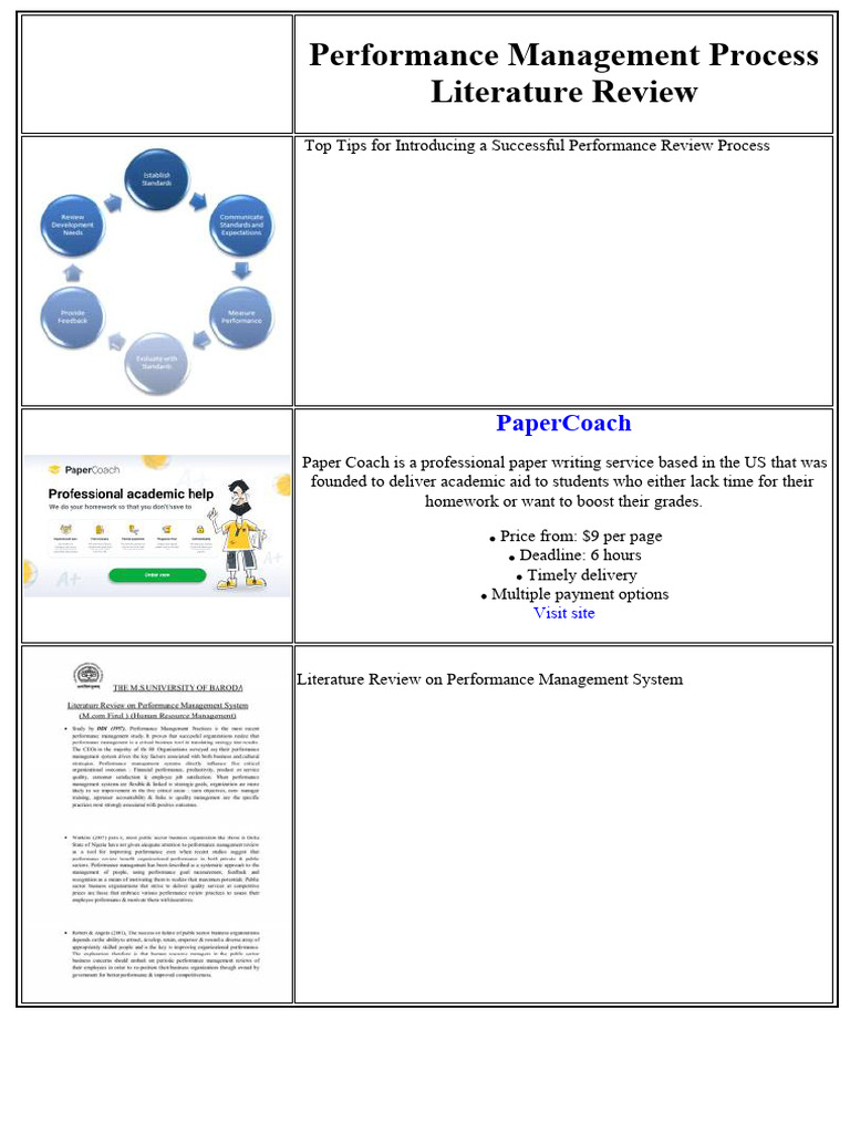 Performance Management Process Literature Review | PDF | Thesis | Essays