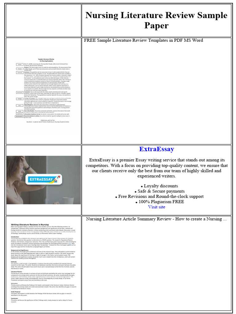 Nursing Literature Review Sample Paper | PDF | Fruit | Urinary Tract ...