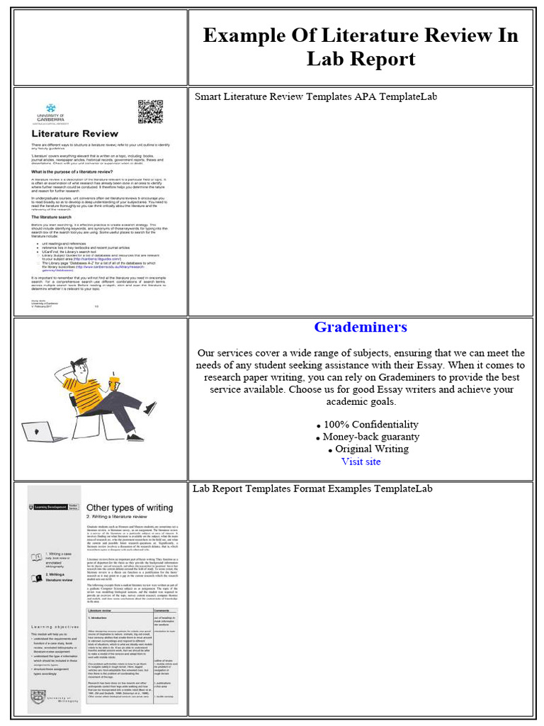 Example of Literature Review in Lab Report | PDF | Investing