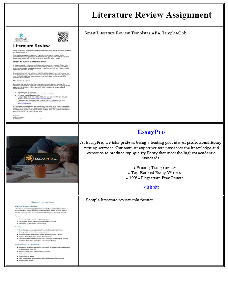 Literature Review Assignment | PDF | Financial Inclusion | Thesis