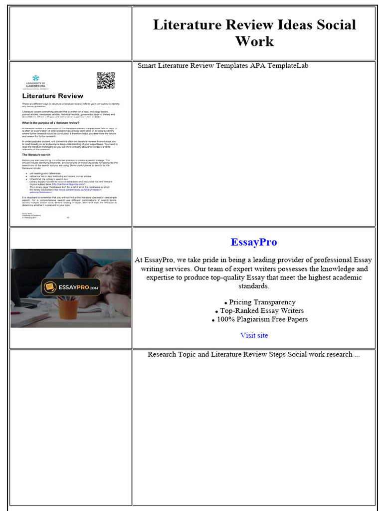 Social Work Literature Review Guide | PDF | Audit | Information And ...