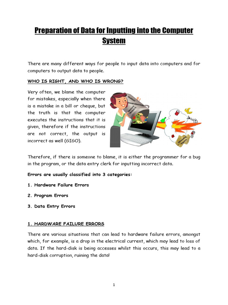Data Input Error Prevention Techniques | PDF | Error | Computer Program