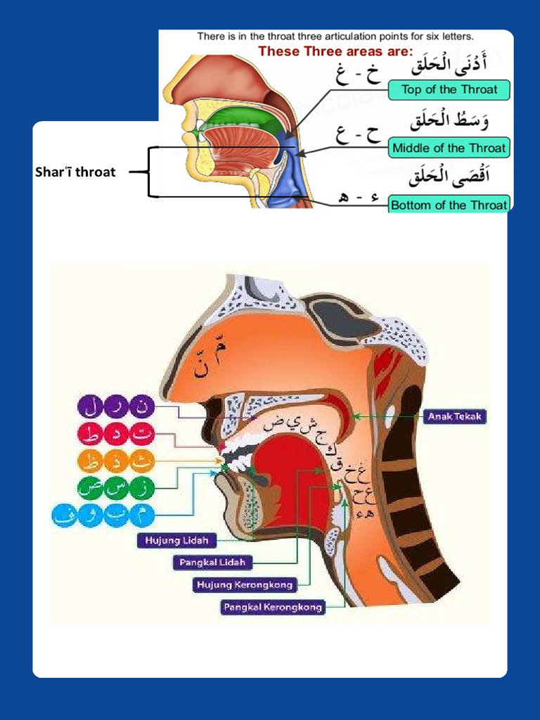 Halqi | PDF