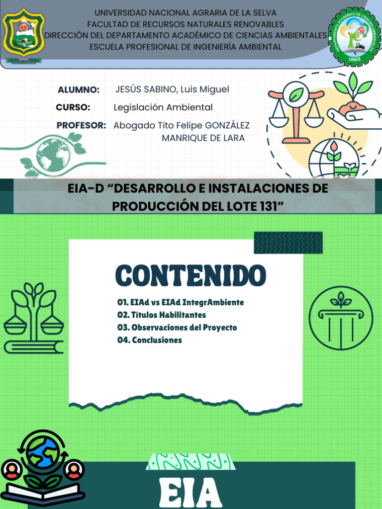 EIA IntegrAmbiente | PDF | Evaluación de impacto ambiental | Entorno ...