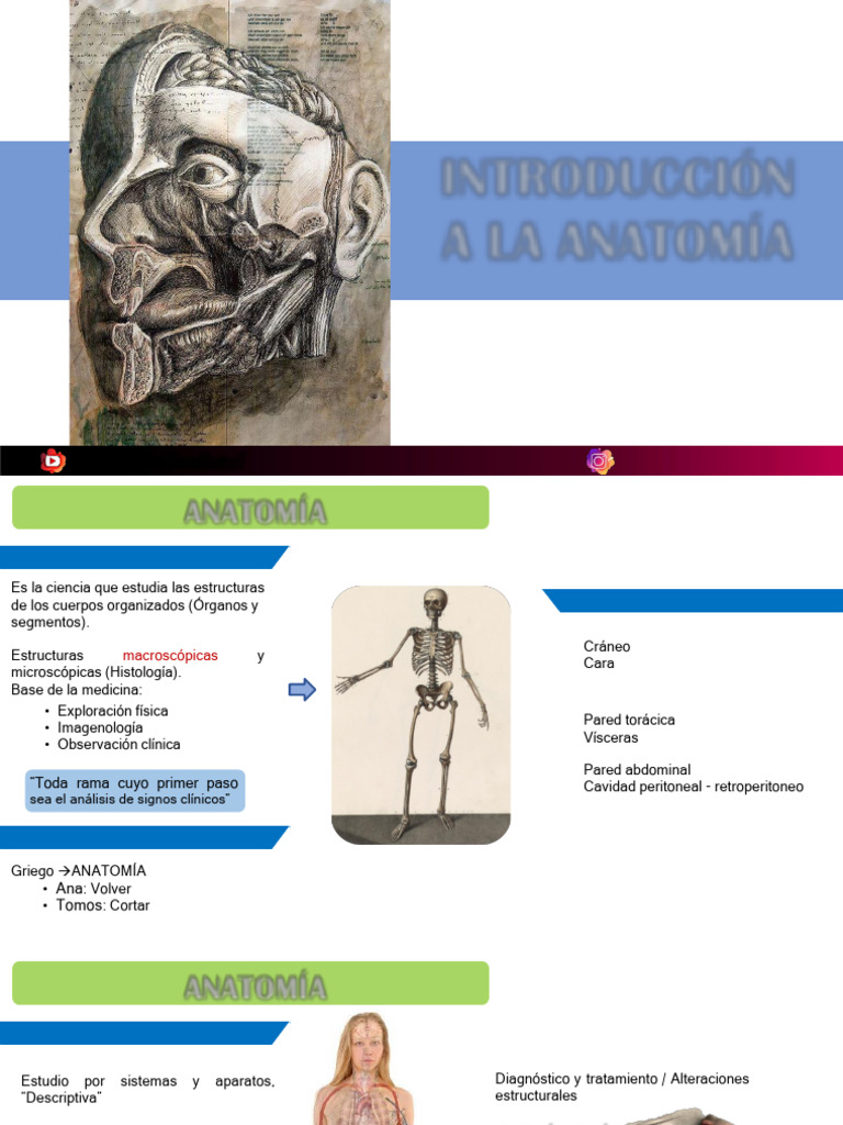 Introduccion Anatomia - Luis Rangel | PDF | Términos anatómicos de ...
