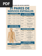 Colufase - Hoja - Informativa - Pacientes Farmacologia | PDF