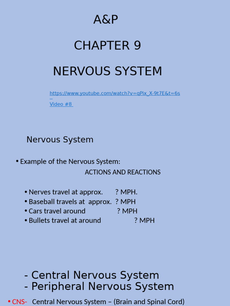 UNIT 3 BSF Chapter 9 Nervous System Part 1 | PDF | Axon | Action Potential