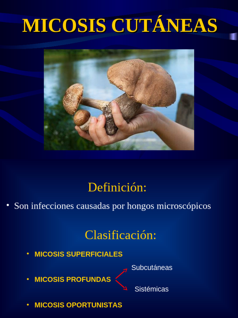 Micosis Cutáneas: Tipos y Tratamientos | PDF | Candidiasis | Micología