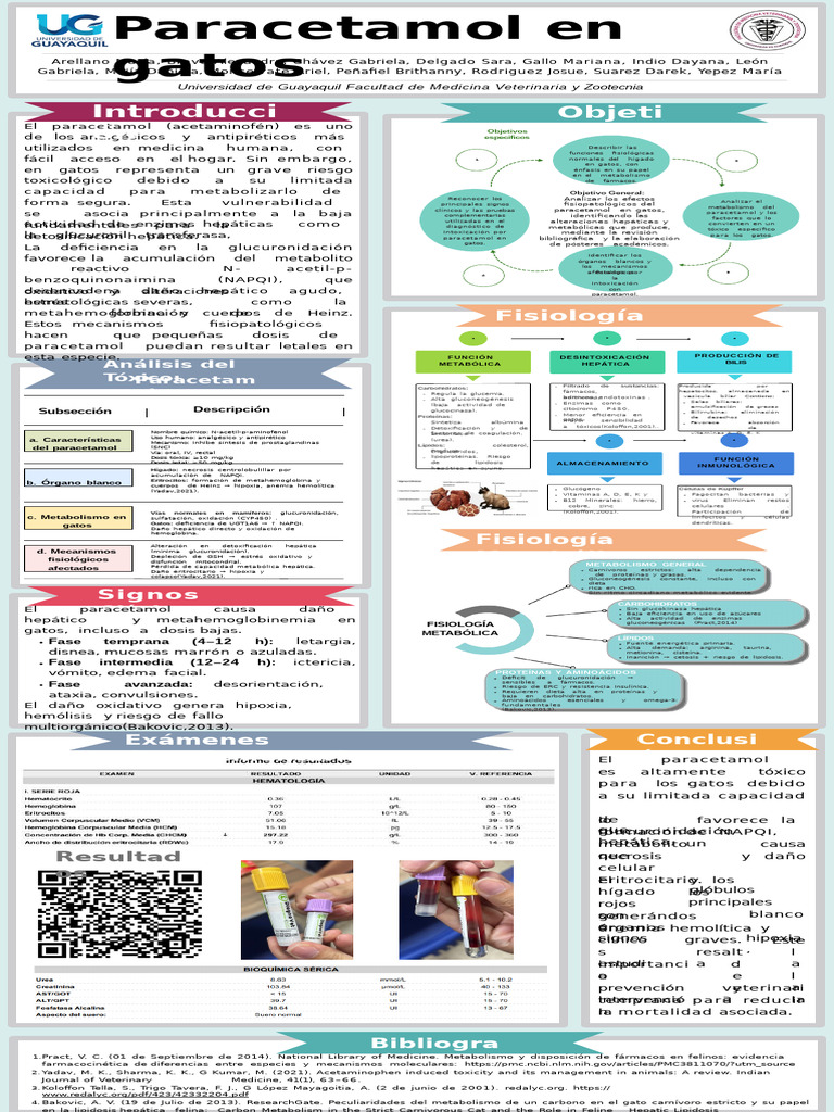 Poster Paracetamol en Gatos Grupo #2 | PDF | Bilis | Hígado
