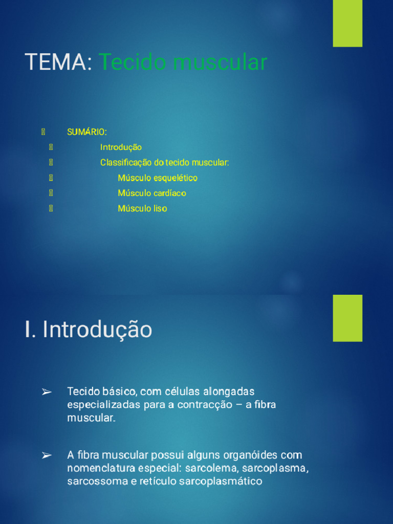 Tecido Muscular Phoenix | PDF