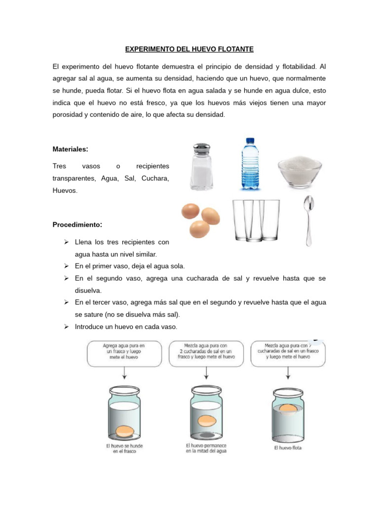 Huevo Flotante: Experimento de Densidad | PDF