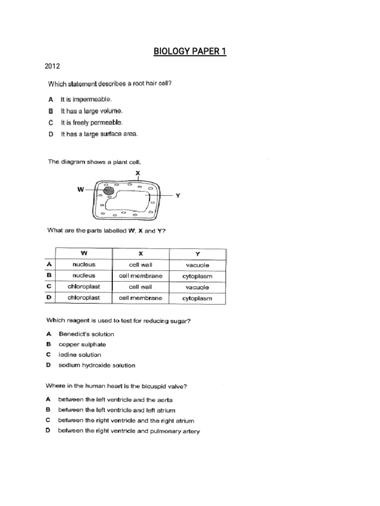 Biology Paper 1 | PDF