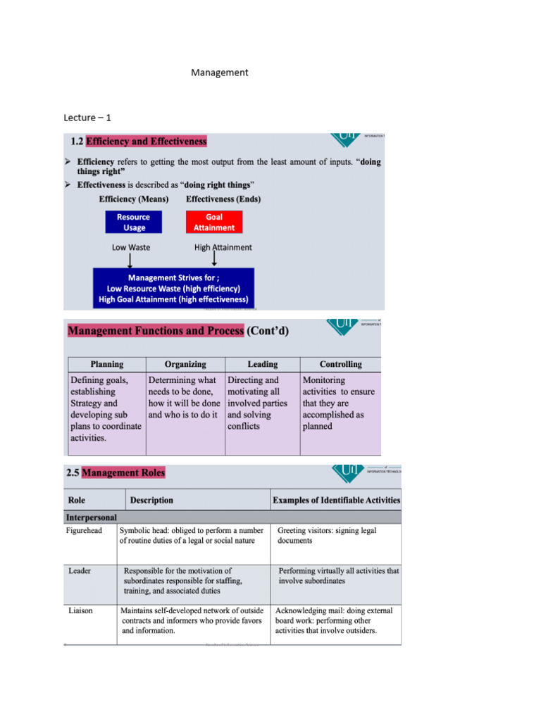 Management Review | PDF