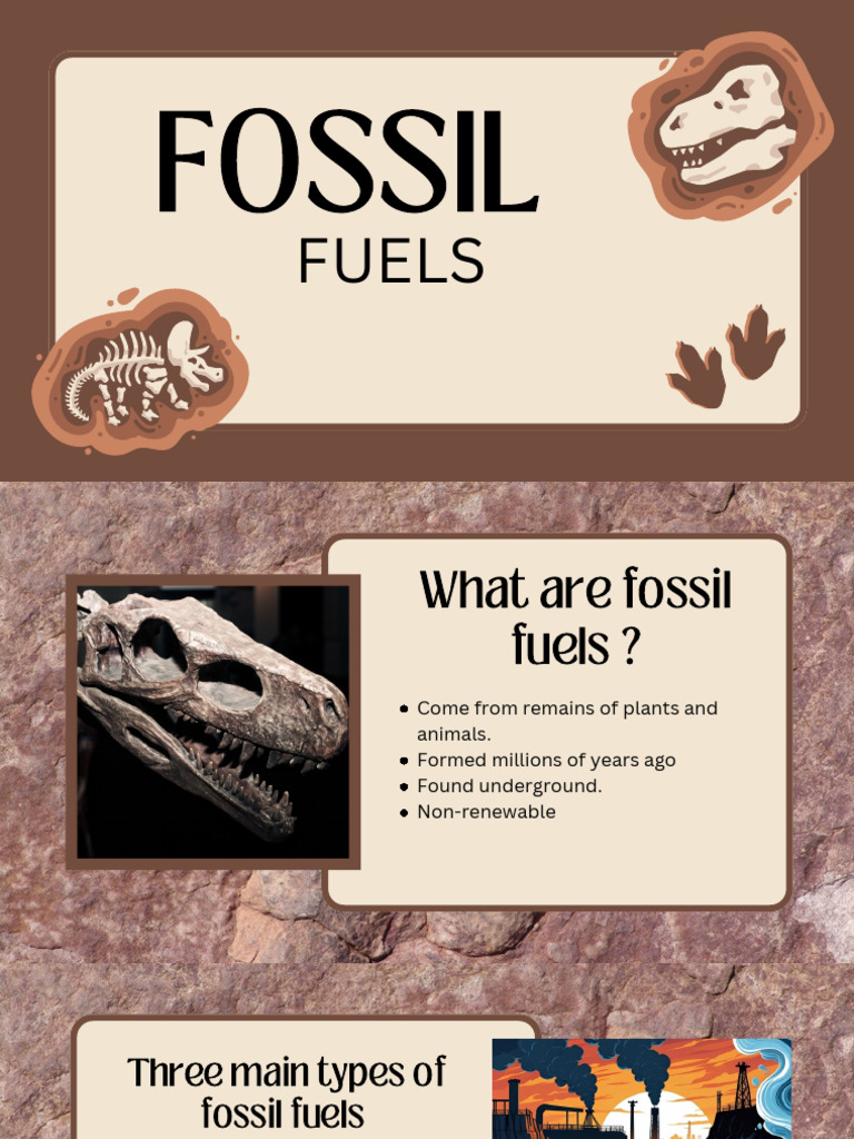 Fossils and Weathering Lesson and Quiz Presentation | PDF | Weathering ...