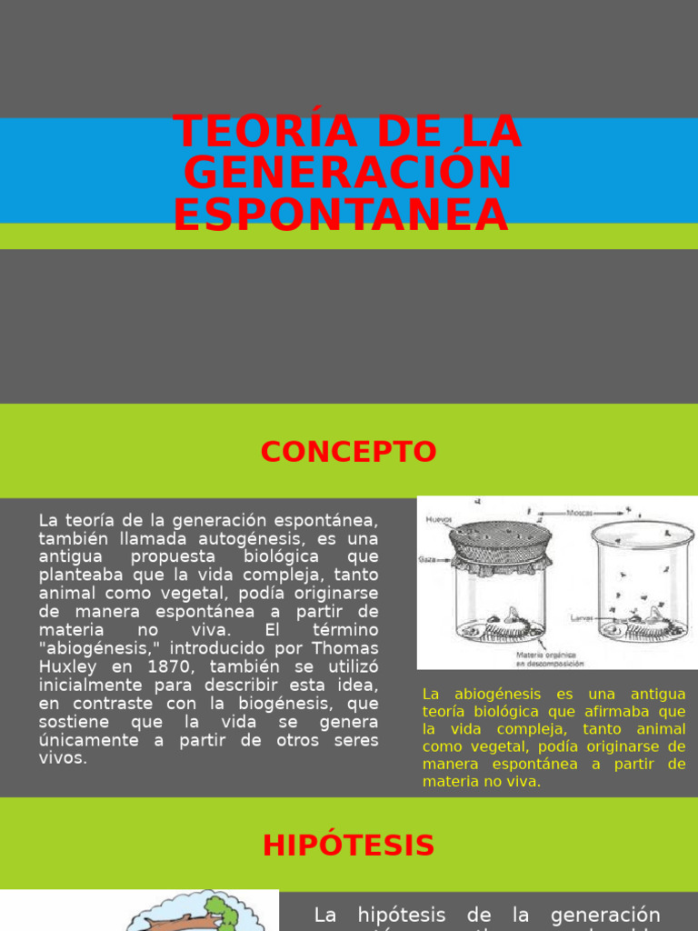 Teoría de La Generación Espontanea | PDF | Biología | Naturaleza