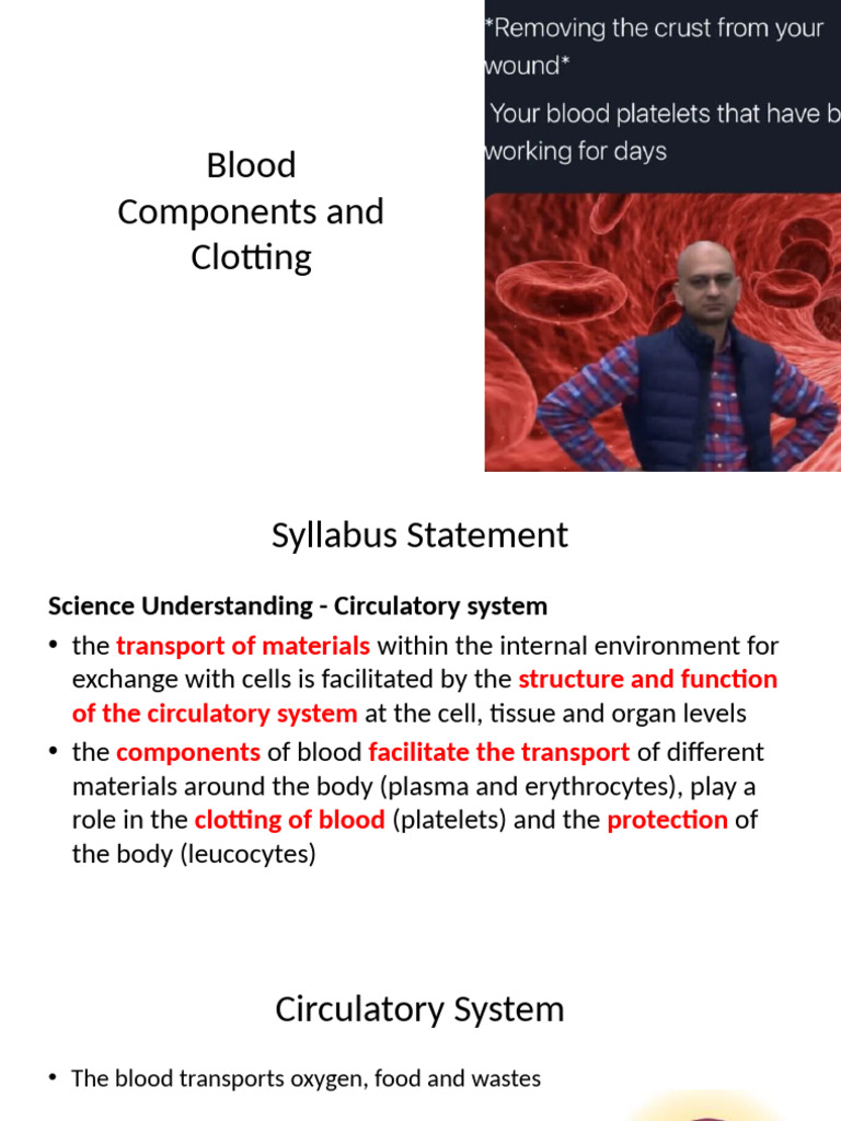 Blood Components and Clotting Overview | PDF | Blood | Blood Cell