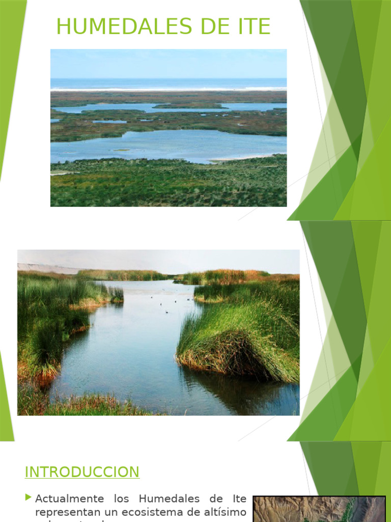 Humedales de Ite | PDF