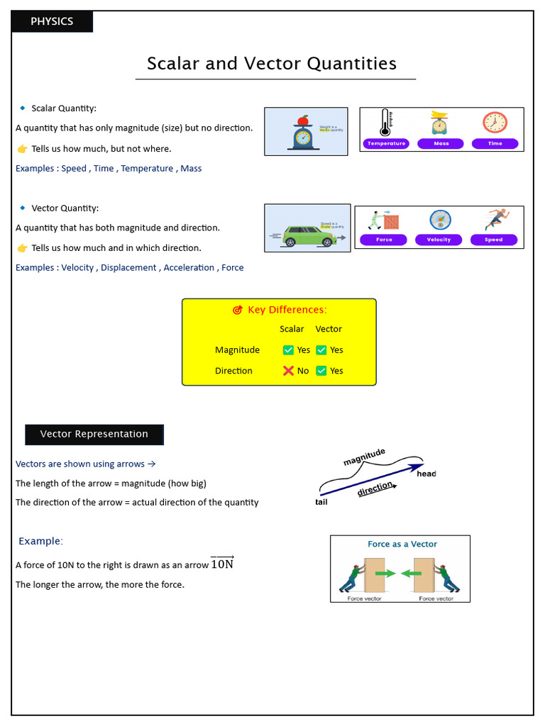 Scalar and Vector Quantities | PDF