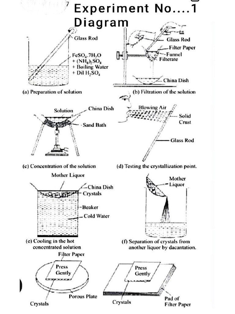 Experiment No 1 Diag Class 12th | PDF