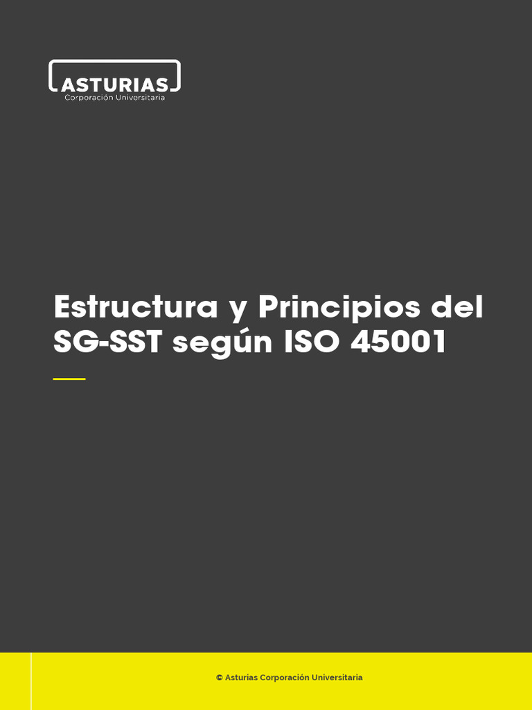 Estructura y Principios Del SG SST Según La ISO45001 | PDF | Análisis FODA | Seguridad y salud ...