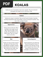 Koala Information Report Template | PDF | Koala | Mammal Orders