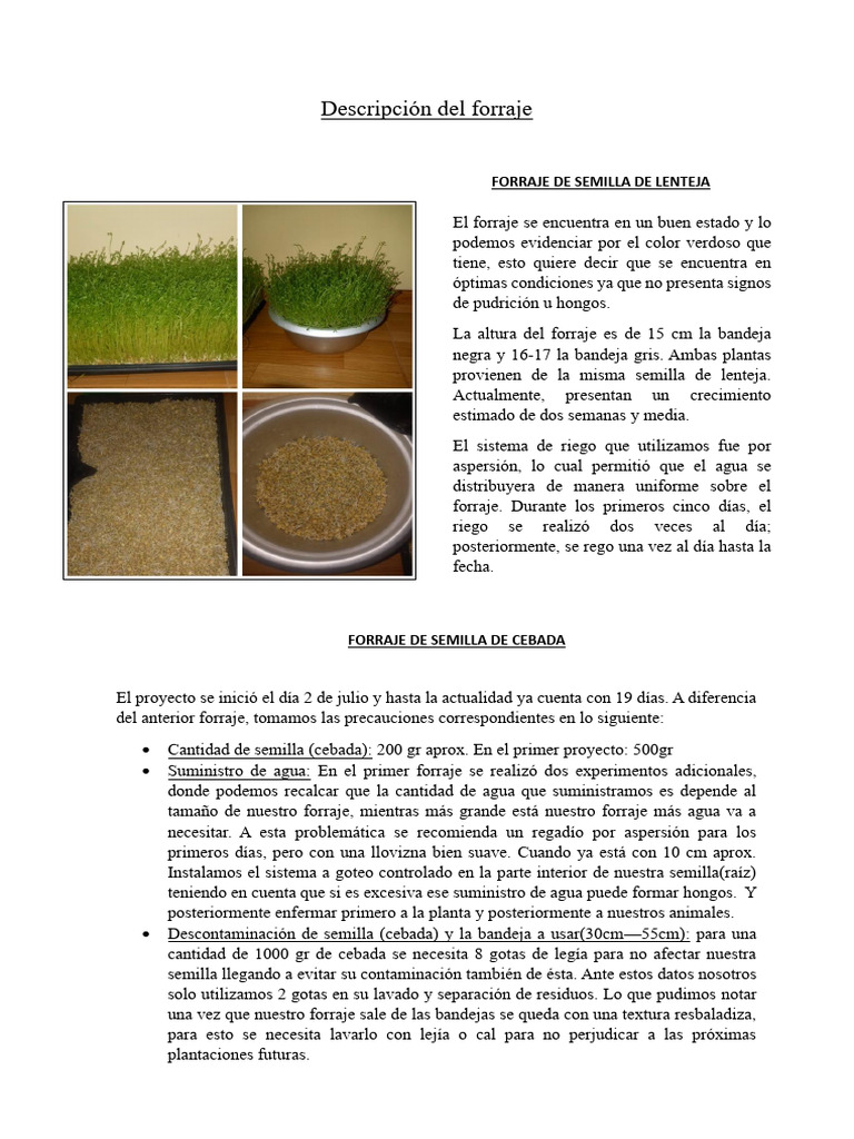 Forraje Descripcion | PDF | Agua | Riego