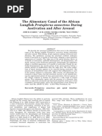 African Lungfish Aestivation Survival | PDF | Lung | Gill