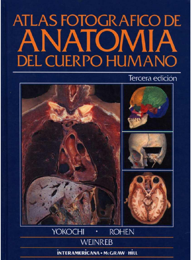 Rohen, Yokochi - Atlas Fotográfico de Anatomía Del Cuerpo Humano 3era ...