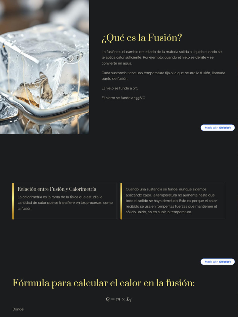 Que Es La Fusion | PDF