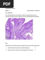 Histopathology Form | PDF