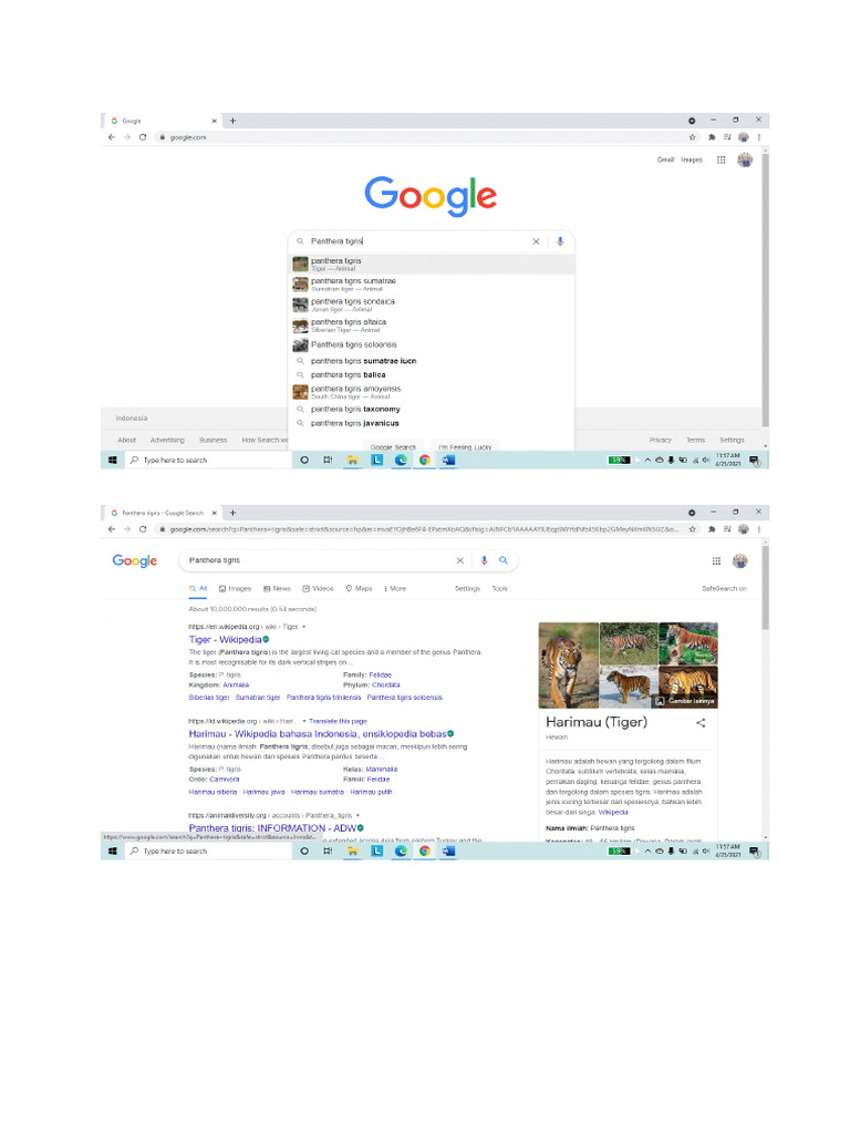 Penggunaan Lisensi Gambar Pada Browser Google 2021 | PDF